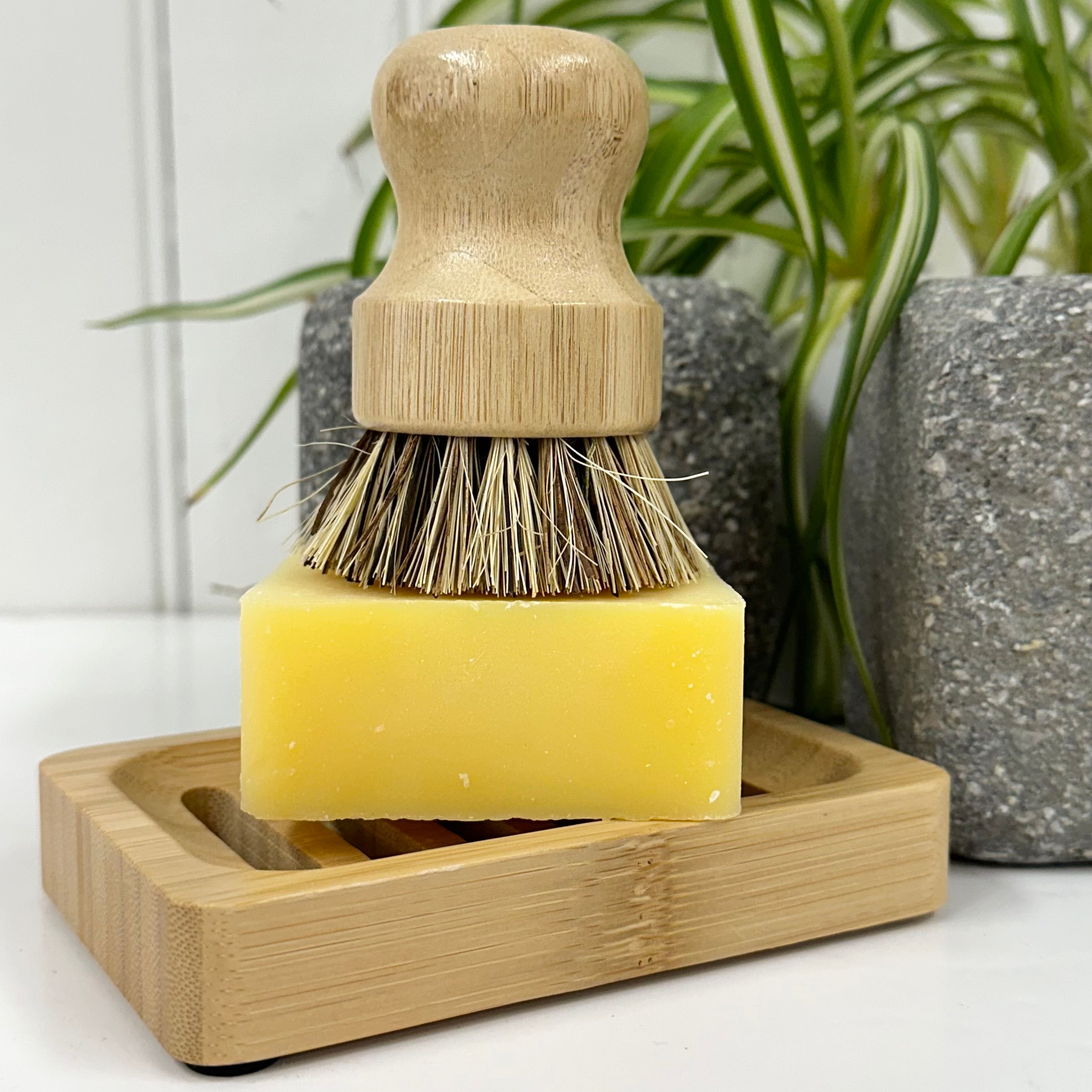 Dish Block- Lemongrass + Citrus – The Keep Refillery